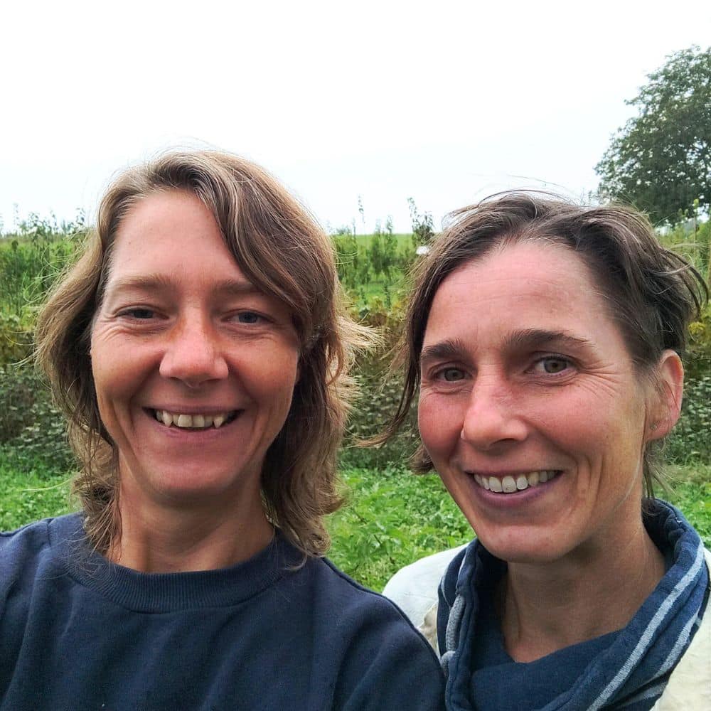 Klimaanlage im Pflanzkübel: 15. Online Bio-Balkon Kongress - Bio-Balkon